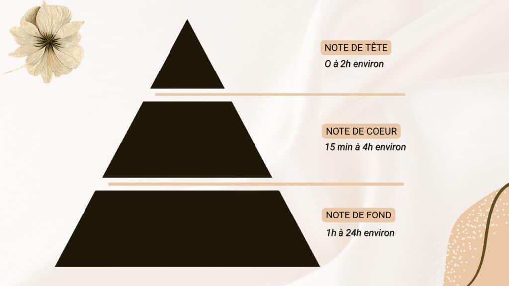 Comment choisir sa bougie parfumée grâce à la pyramide olfactive ...